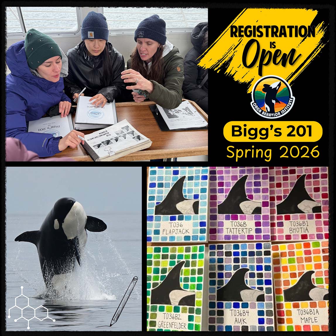 📣 Registration is NOW OPEN for our spring 2026 iteration of Bigg's 201
